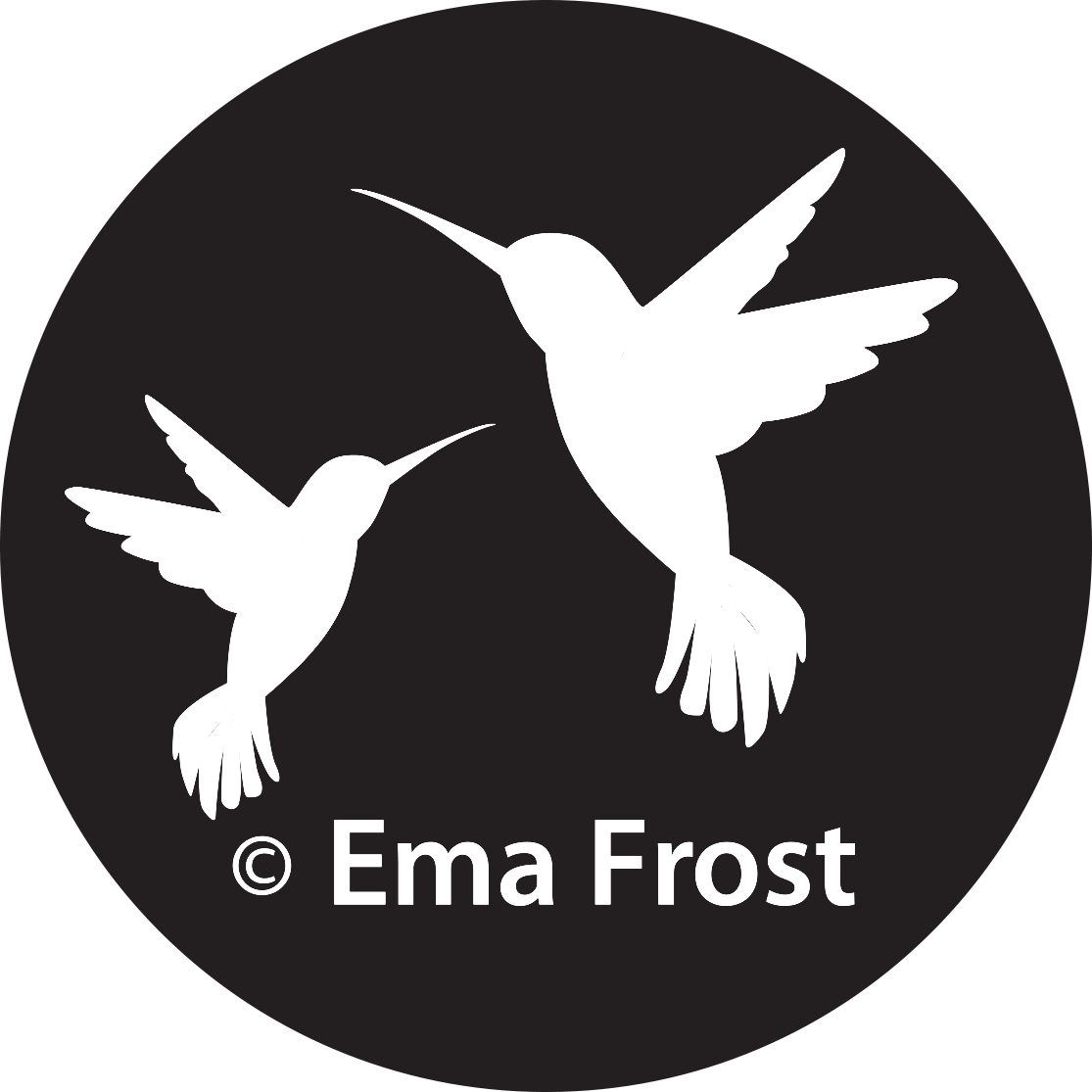 Kintsugi Kit – Ema Frost